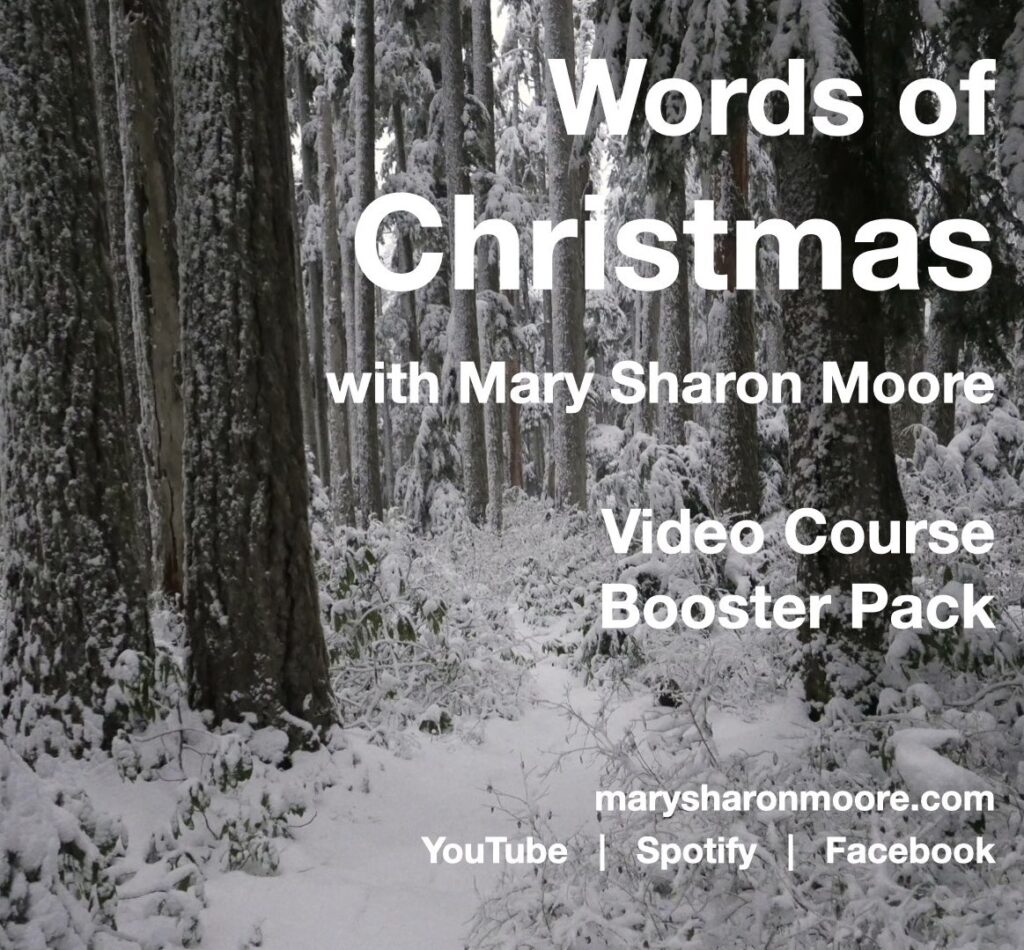 Evangelizing Missionary - Mary Sharon Moore