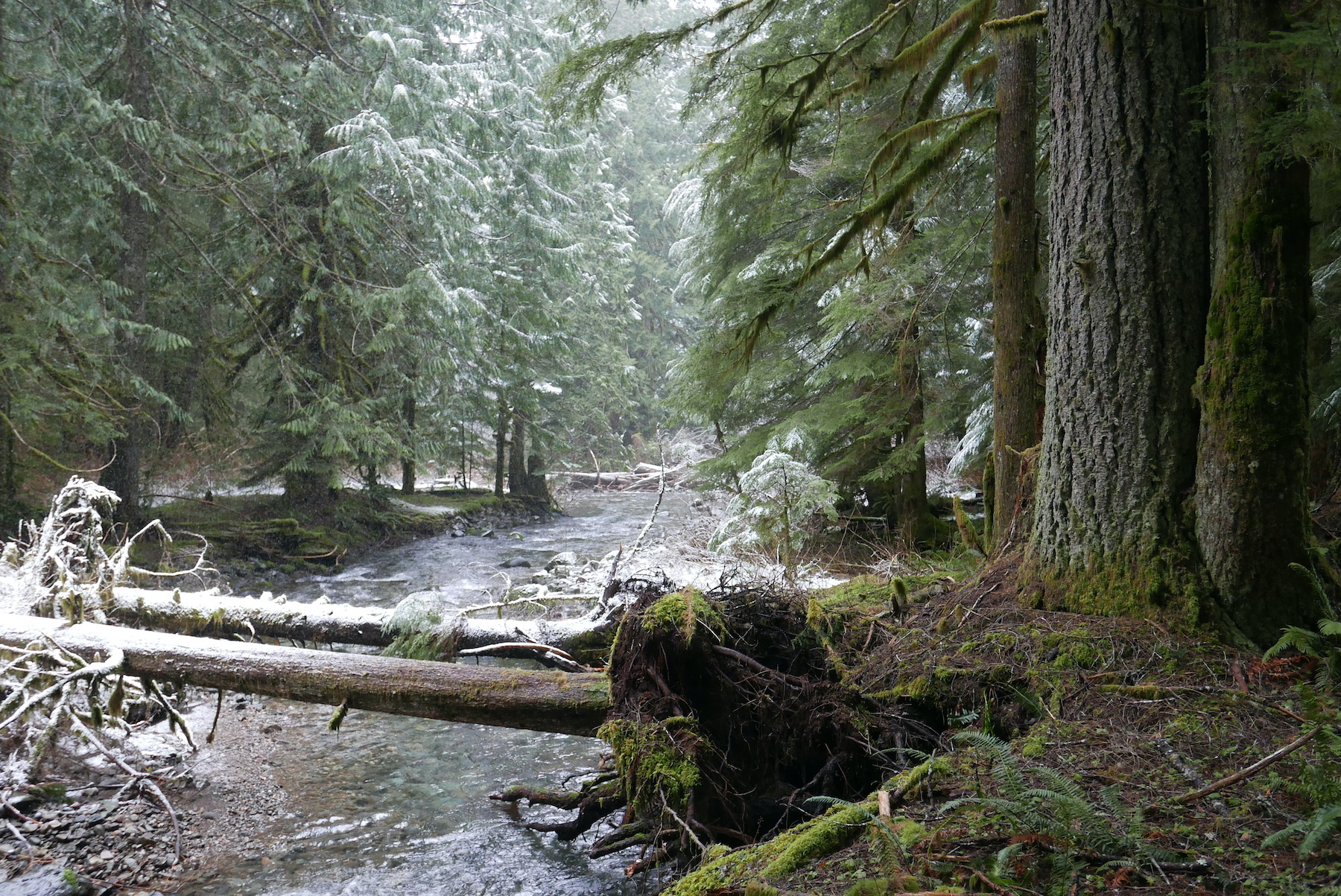 Continue on! - Mary Sharon Moore