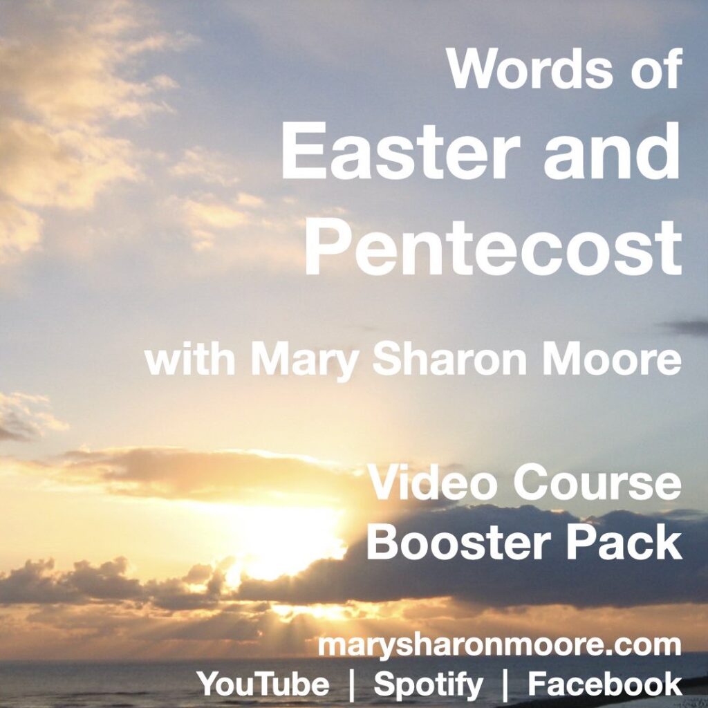 Evangelizing Missionary - Mary Sharon Moore