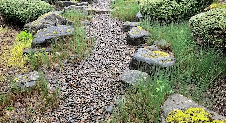 I've joined a movement - Mary Sharon Moore